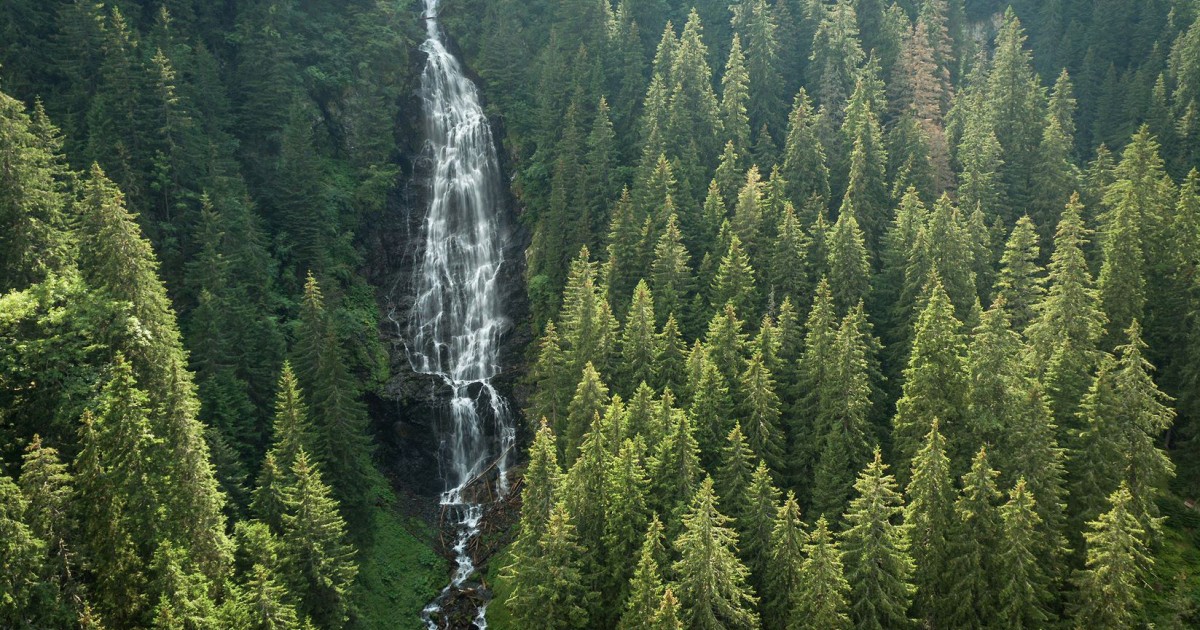 Client Earth – Stiftung Zukunft Jetzt!